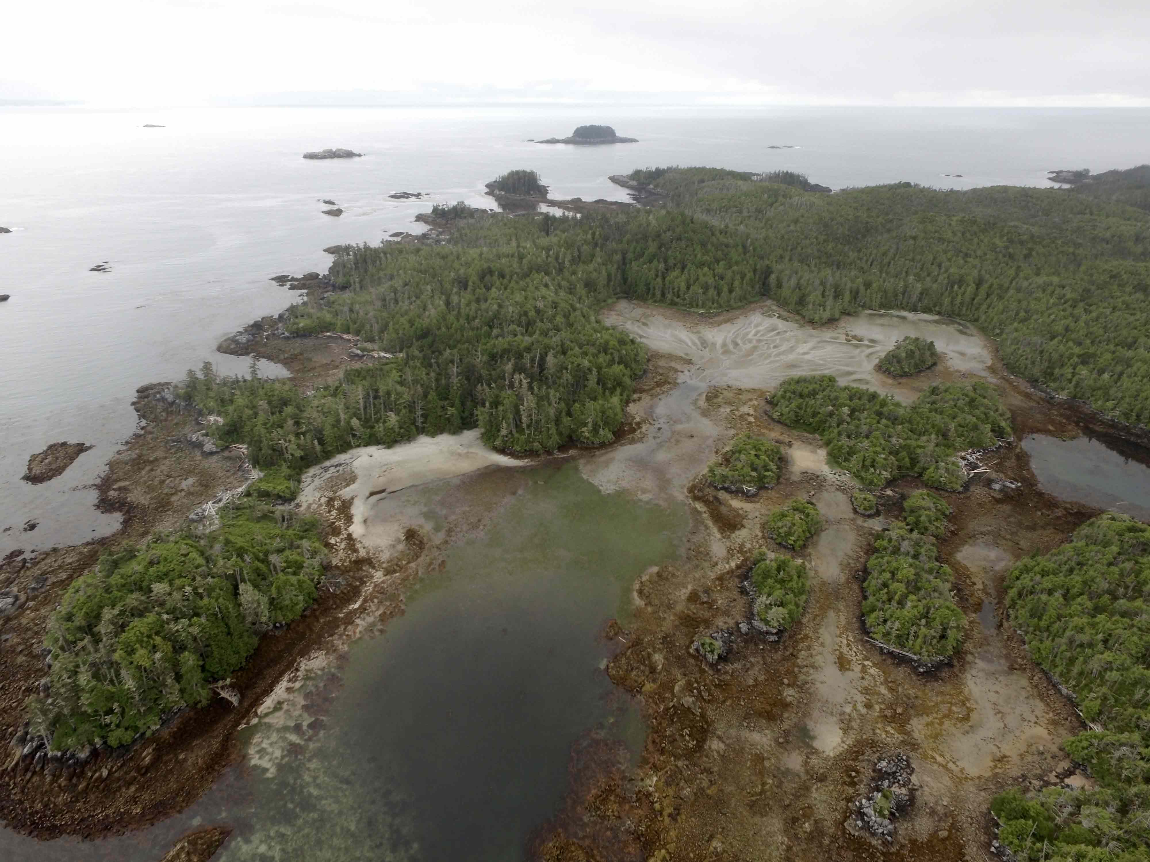 Timeline | Immigration and Impact