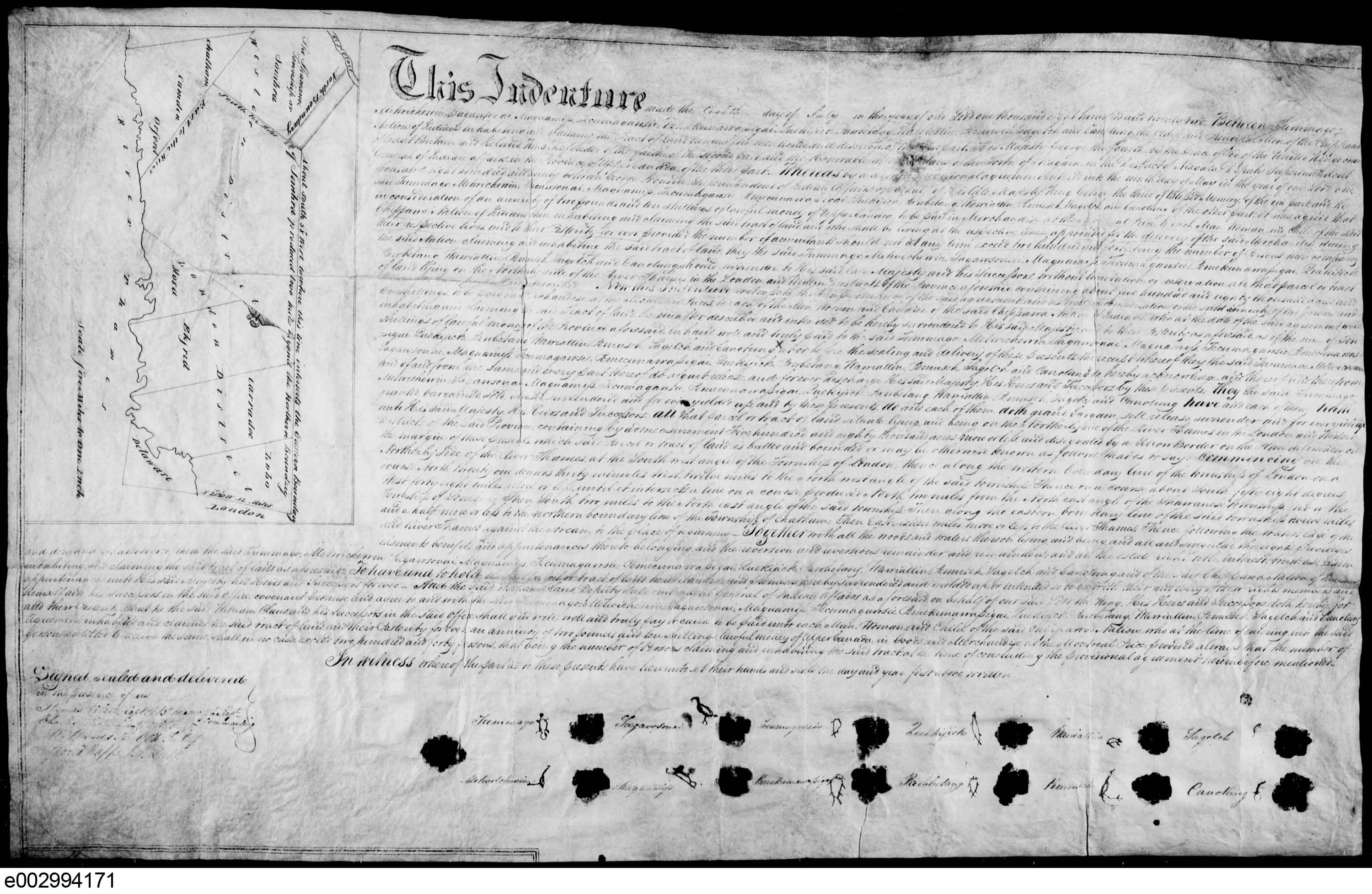 Timeline | Immigration and Impact