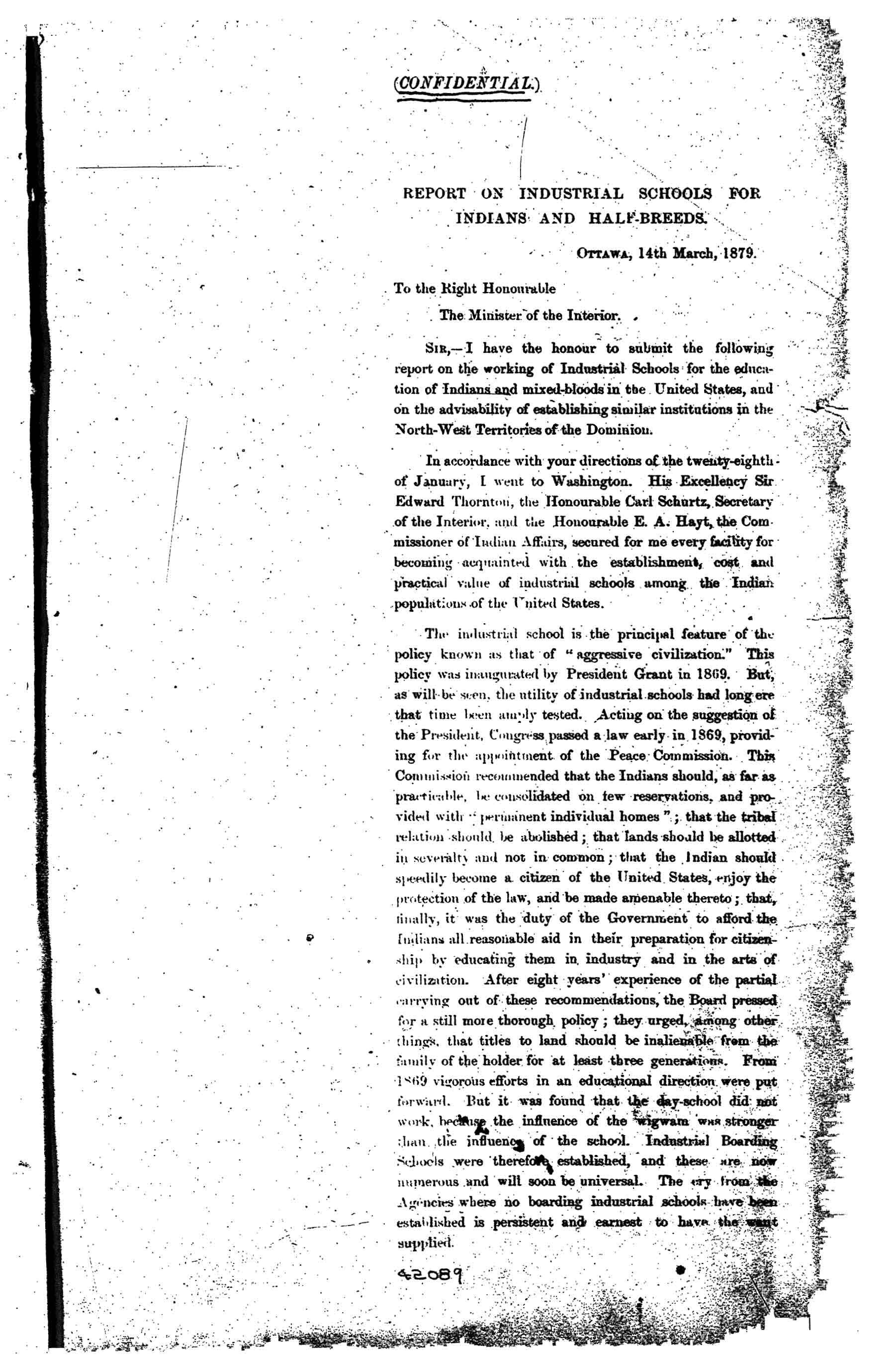 Timeline | Immigration and Impact